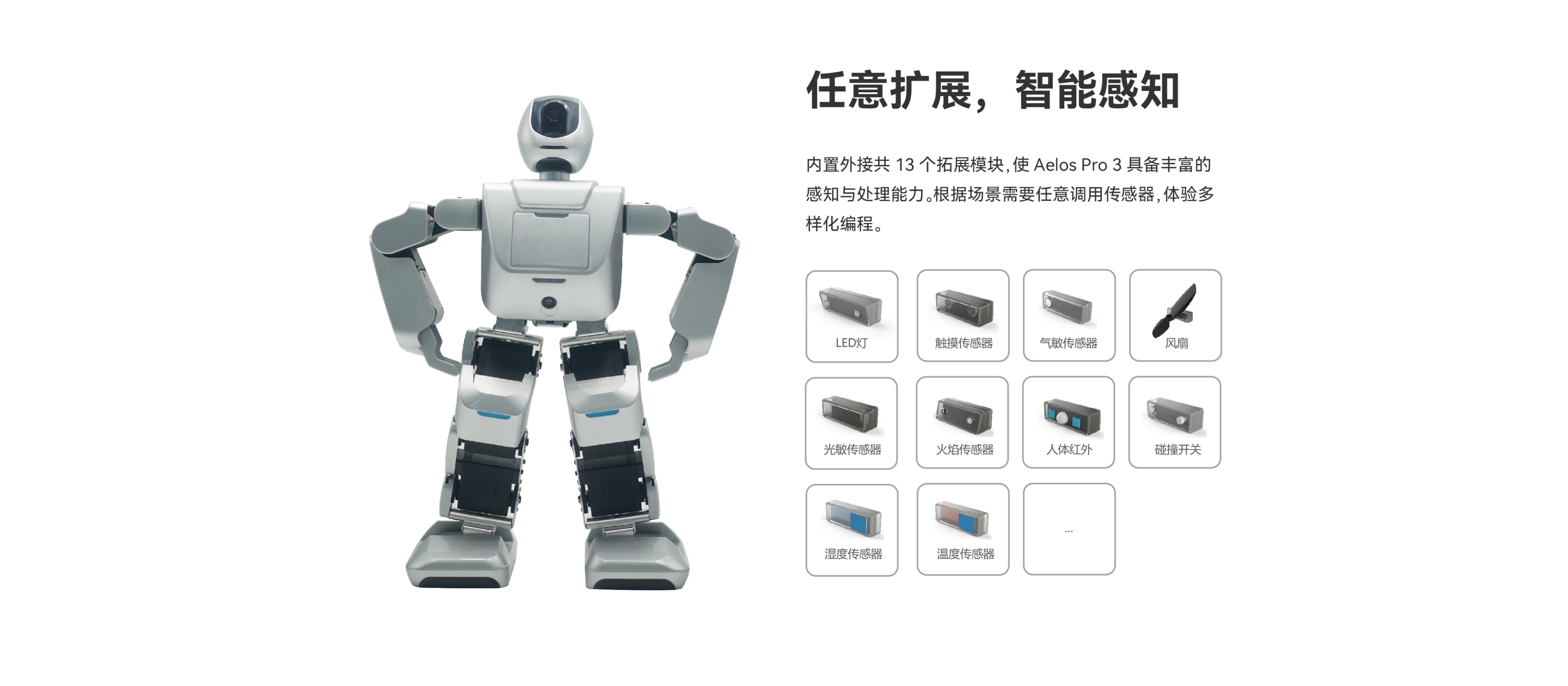 Leju - Leader in Advanced Humanoid Robotics