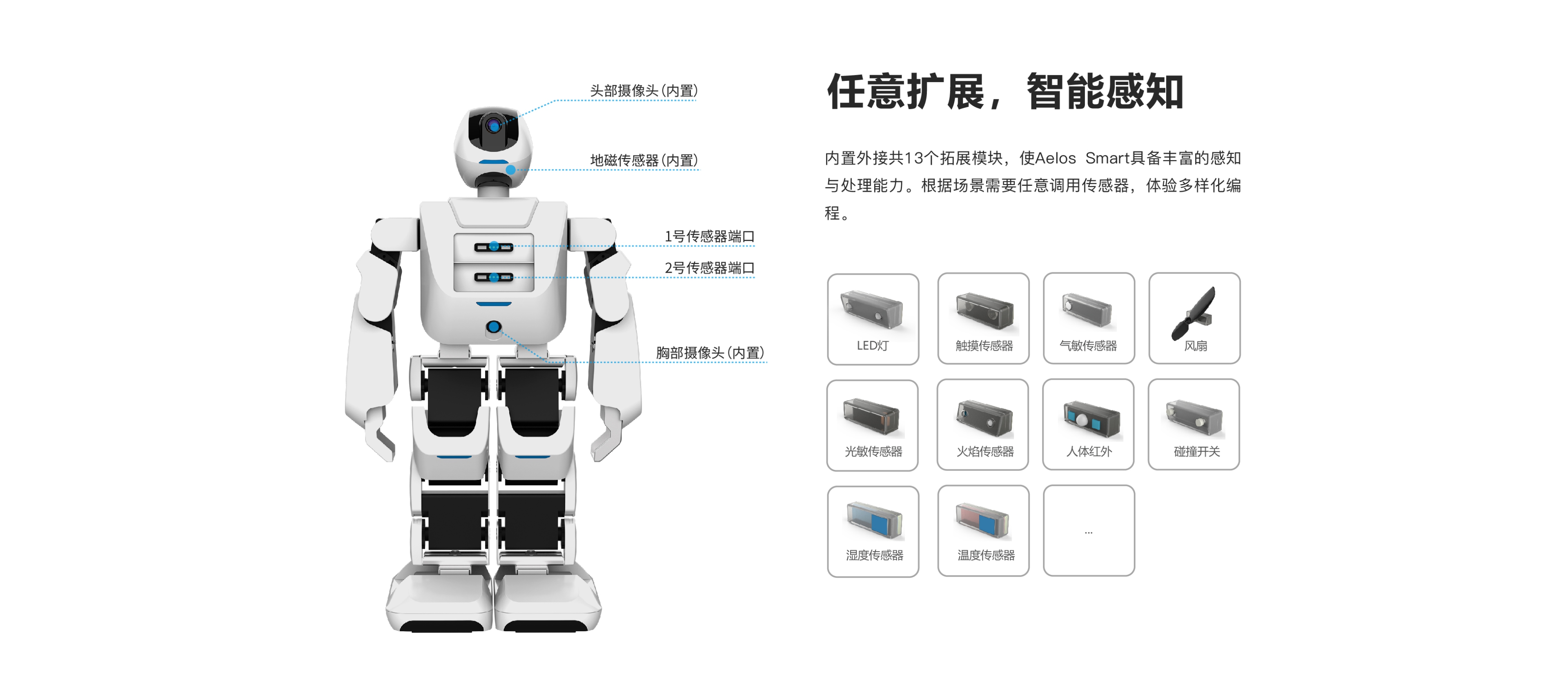 Leju - Leader in Advanced Humanoid Robotics